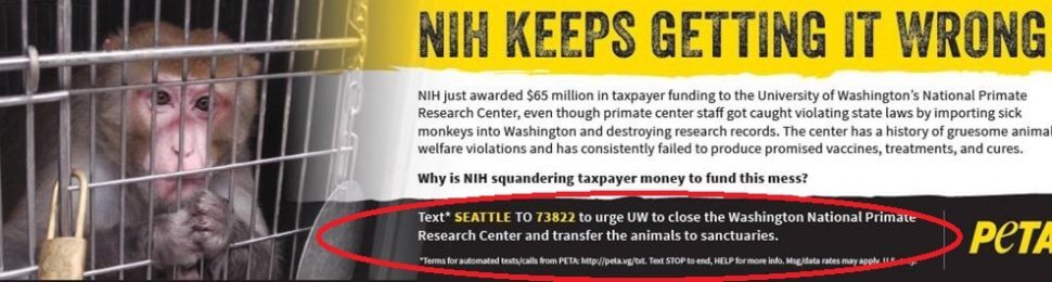 Billboard | PSAs | Media Center | PETA