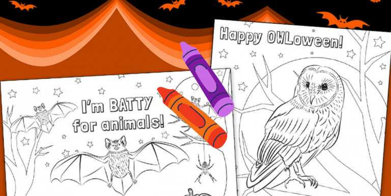 Page 2 | PETA Kids page 2 | PETA