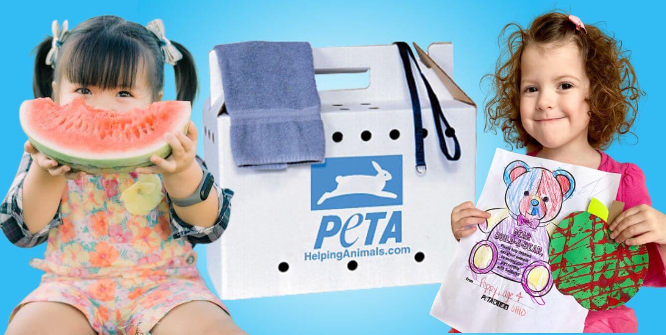 Animals Used for Clothing page 3 | PETA