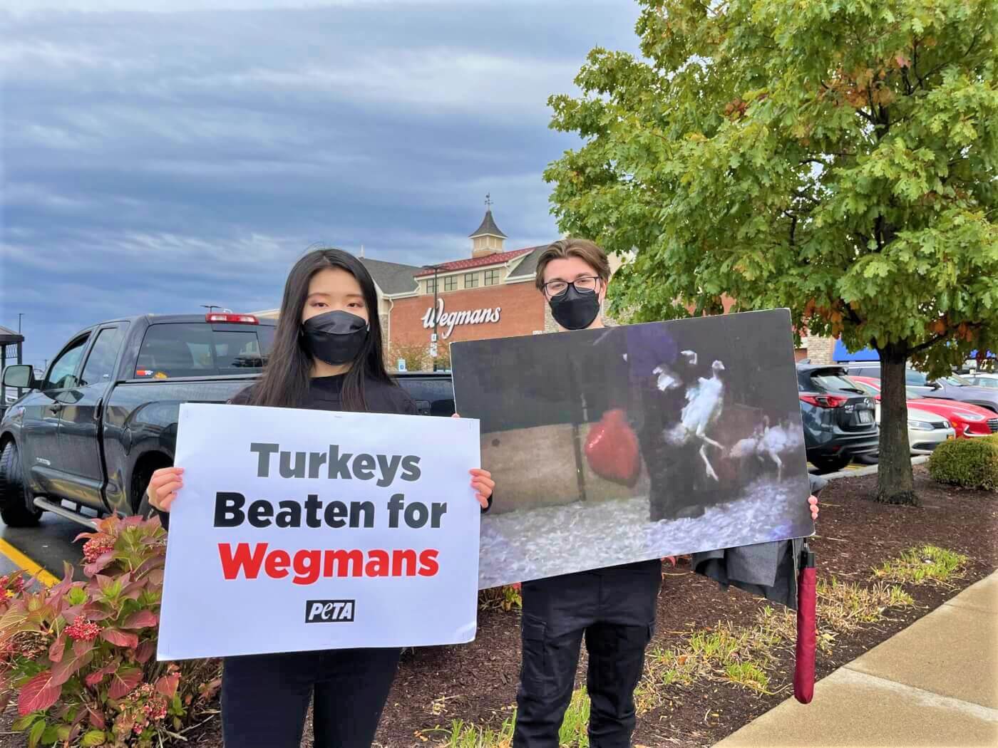 Action Alerts | Actions | PETA.org