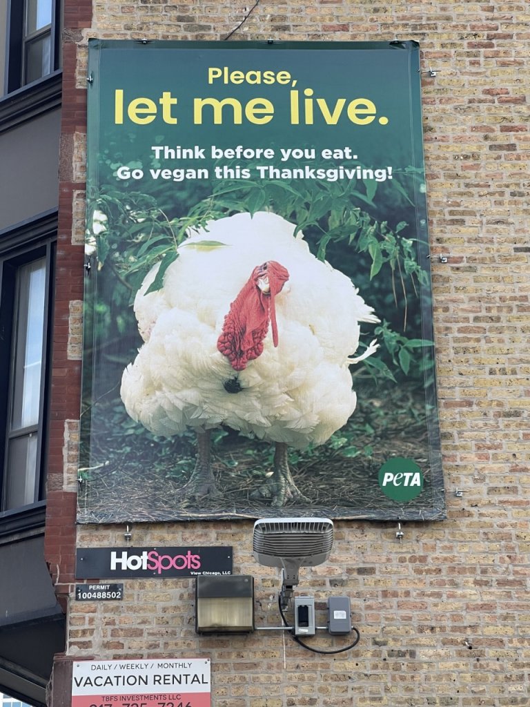 Photos: Giant Turkeys Make ‘ThanksVegan’ Pleas in PETA PSA Blitz ...