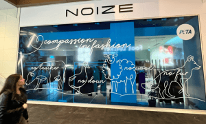 Making Some NOIZE for Animals: Vegan Art Hits Fashion Store Window | PETA
