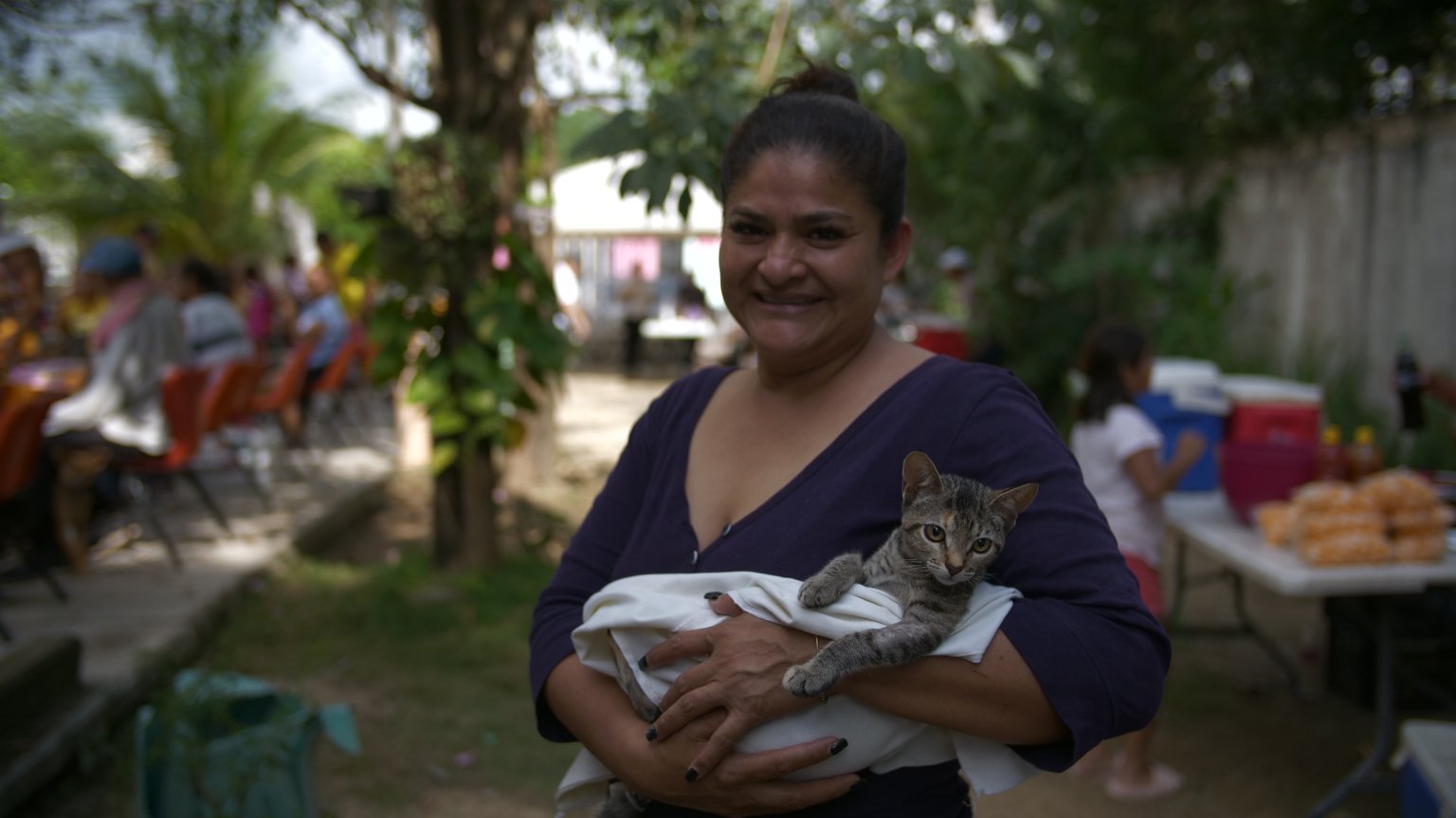170+ Dogs and Cats Spayed or Neutered in Cancún | PETA
