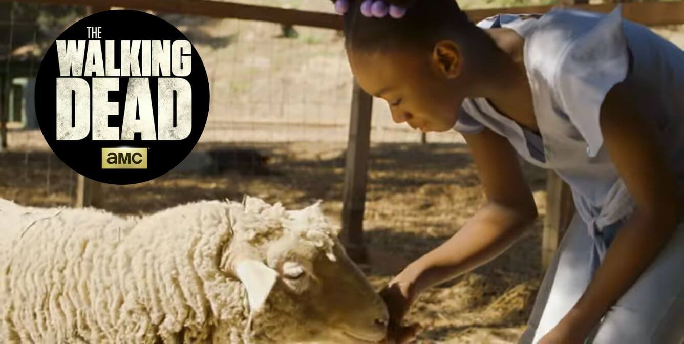 Anti-Wool Ad to Haunt Viewers of ‘Walking Dead’ Finale | PETA