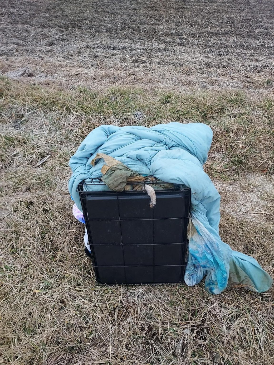 Dog Found Dead in Crate in Macon County, IL | PETA