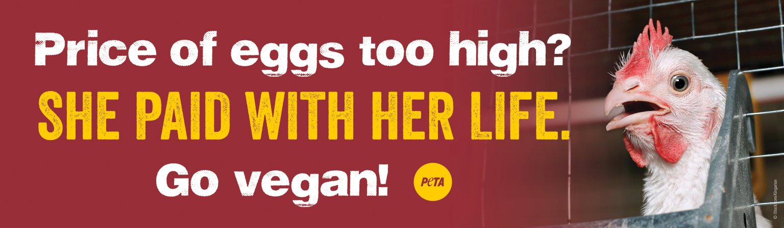 High Cost of Eggs Prompts Reality Check From PETA: ‘Hens Pay the ...