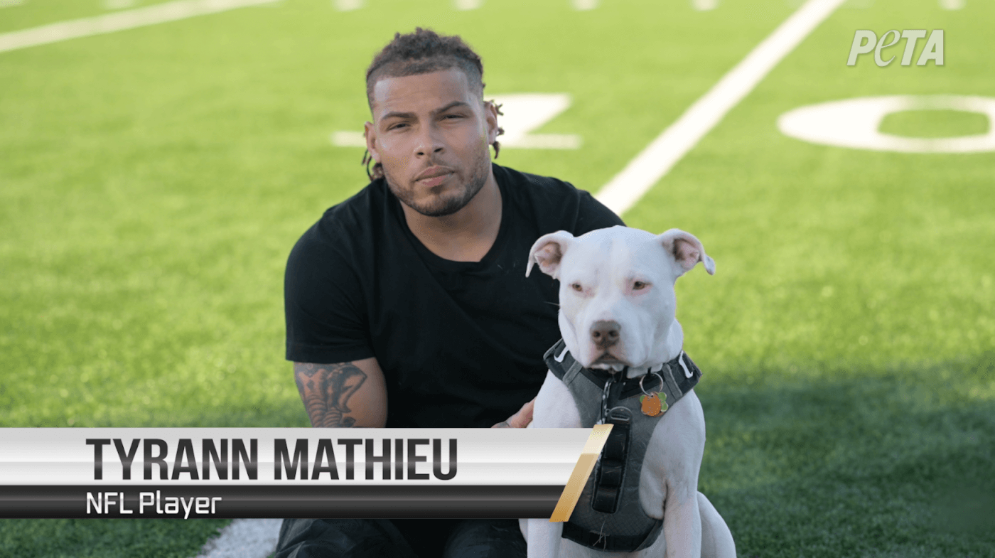 Tyrann Mathieu Reminds People That Dogs Are Family | PETA