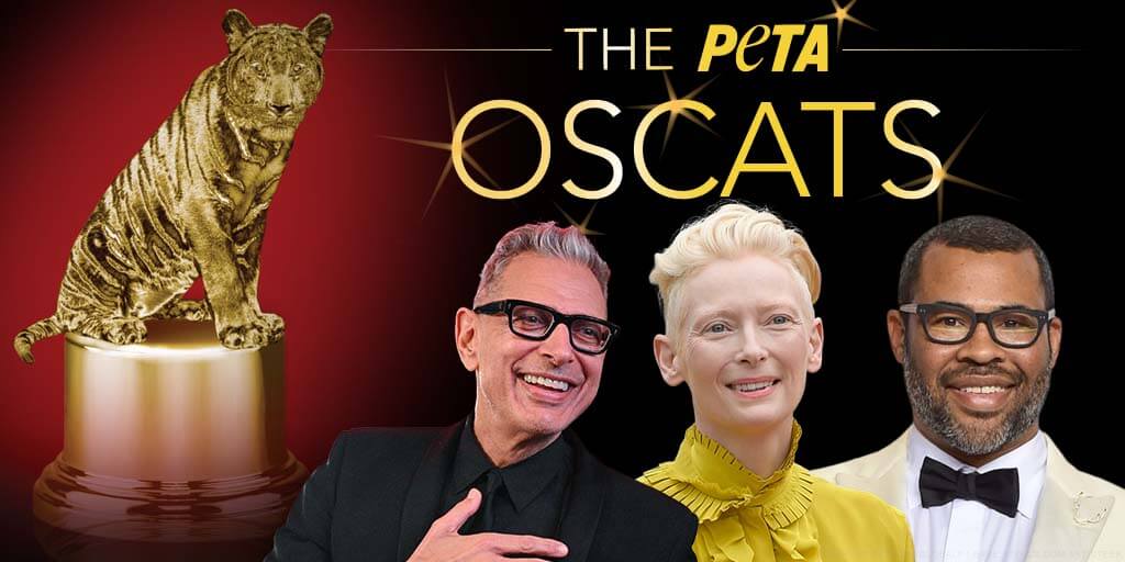 See Which 2022 Films Won PETA’s Oscat Awards | PETA