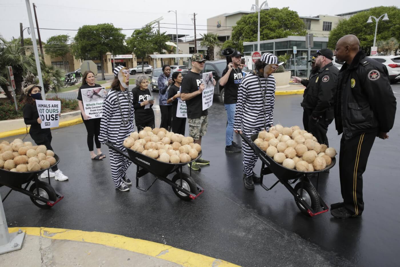 Chained ‘Monkeys’ Descend On Whole Foods HQ | PETA