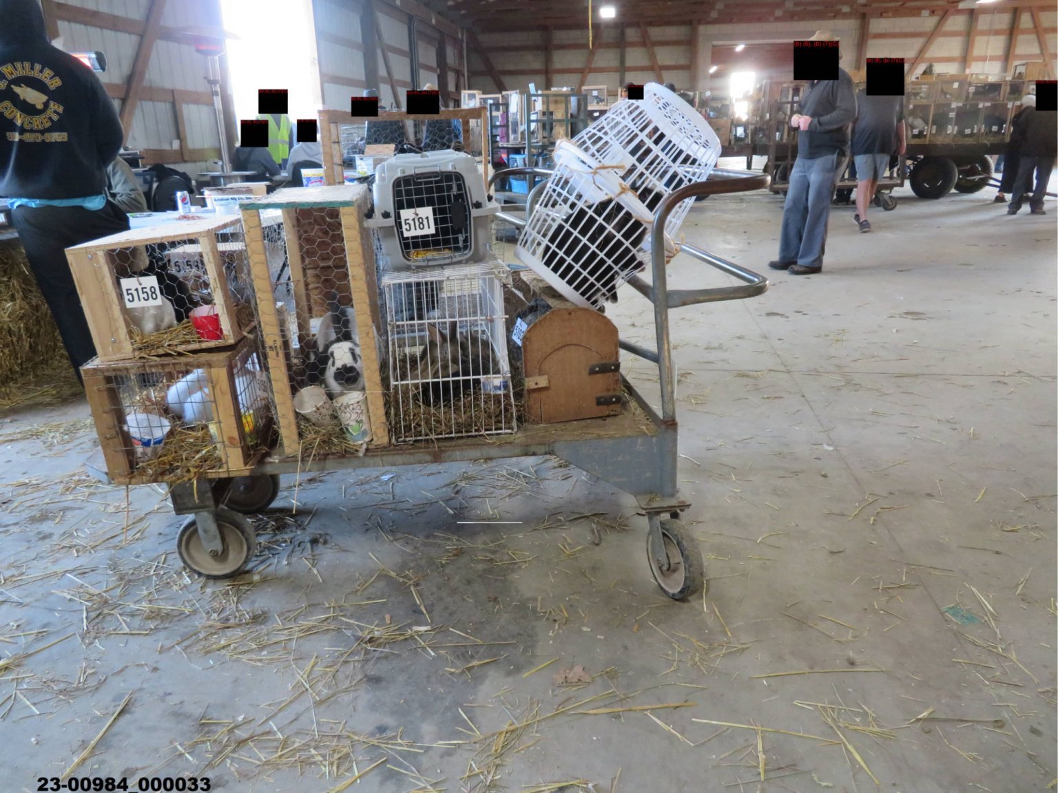 This Animal Auction Is STILL Turning Up Rotten | PETA