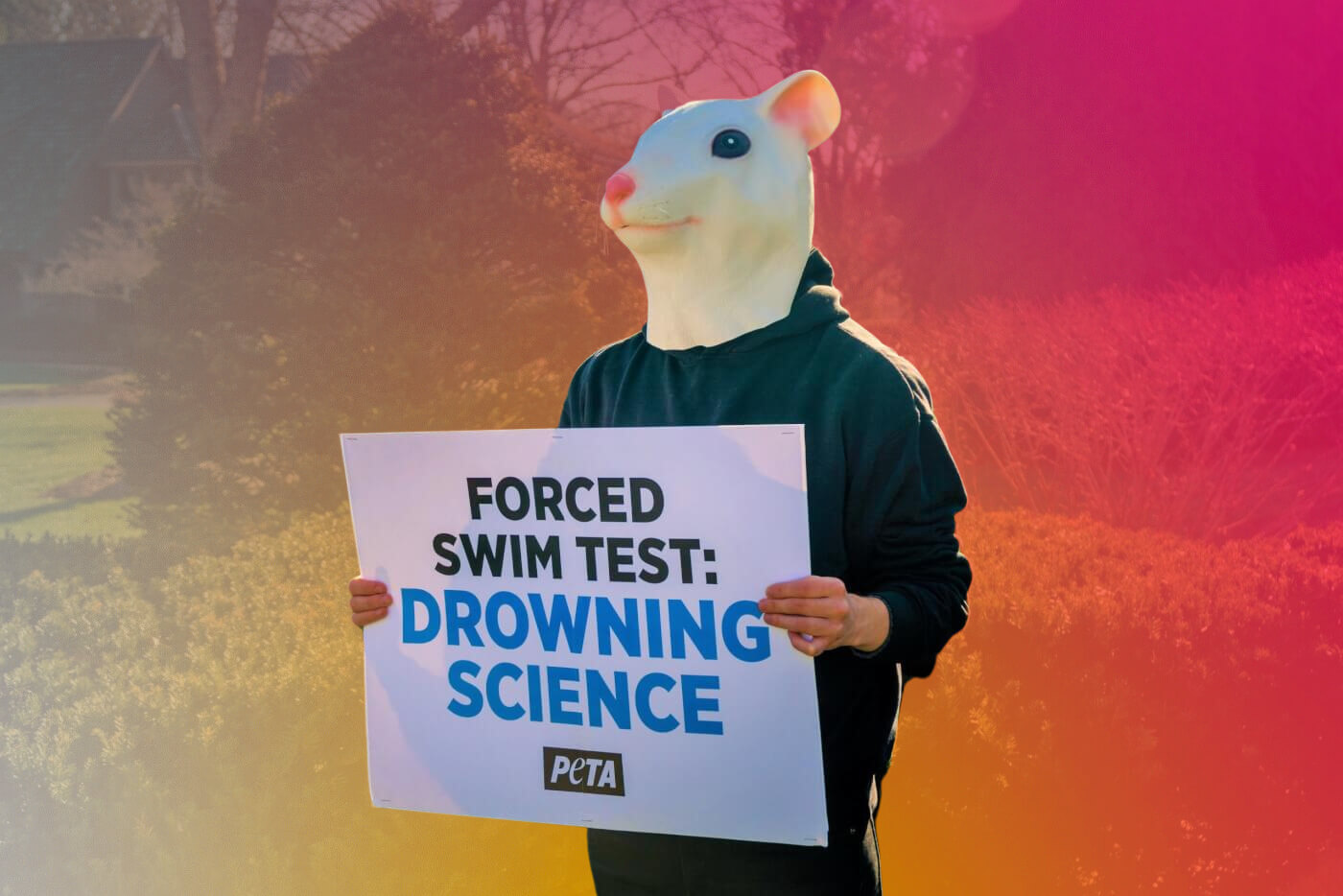 Sanofi: Bribery, Deceit, Overcharging Veterans, and Torturing Animals ...