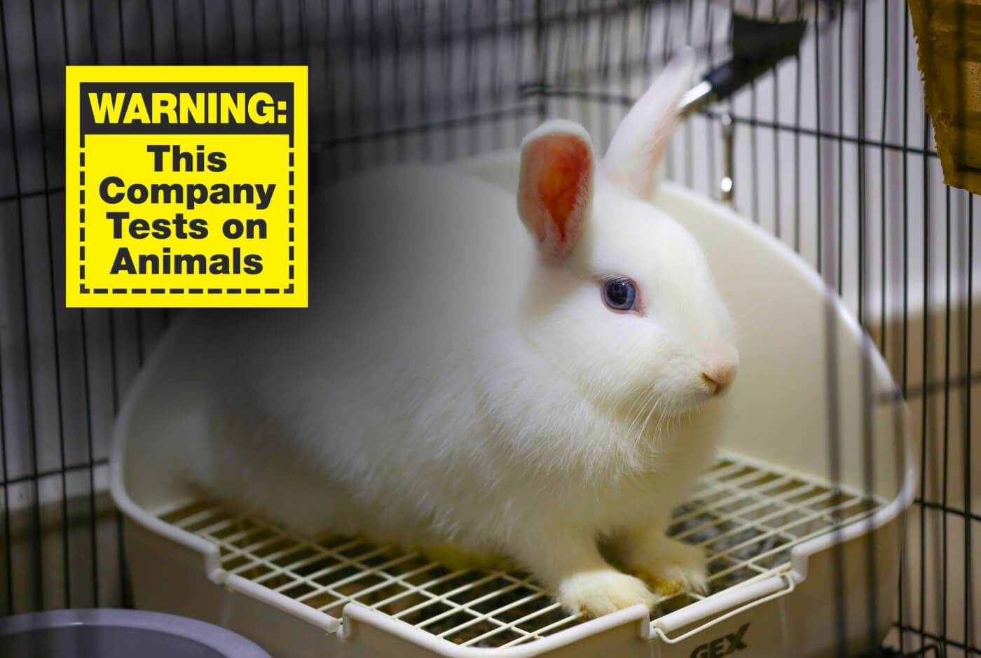 Free ‘Warning!’ Label Stickers | PETA