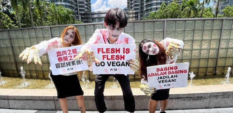 People for the Ethical Treatment of Animals (PETA) page 7469590830