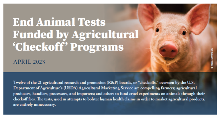 USDA ‘Tax’ on Farmers Funds Cruel Tests | PETA