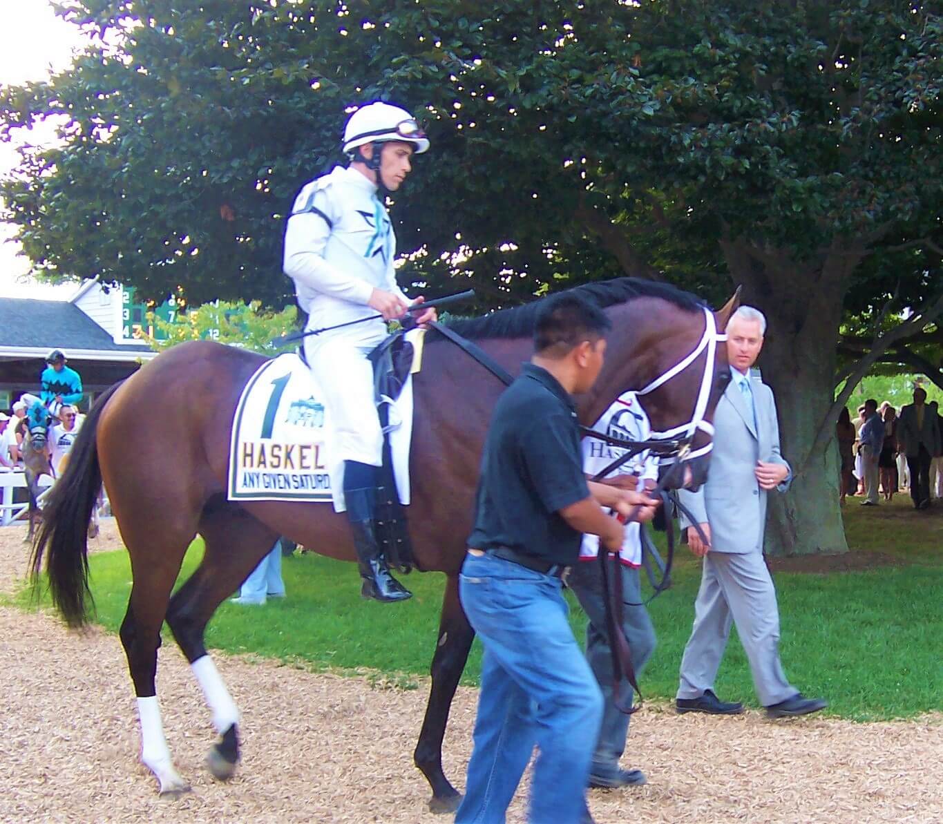 Our Investigation Helped Save This Champion Racehorse’s Life | PETA