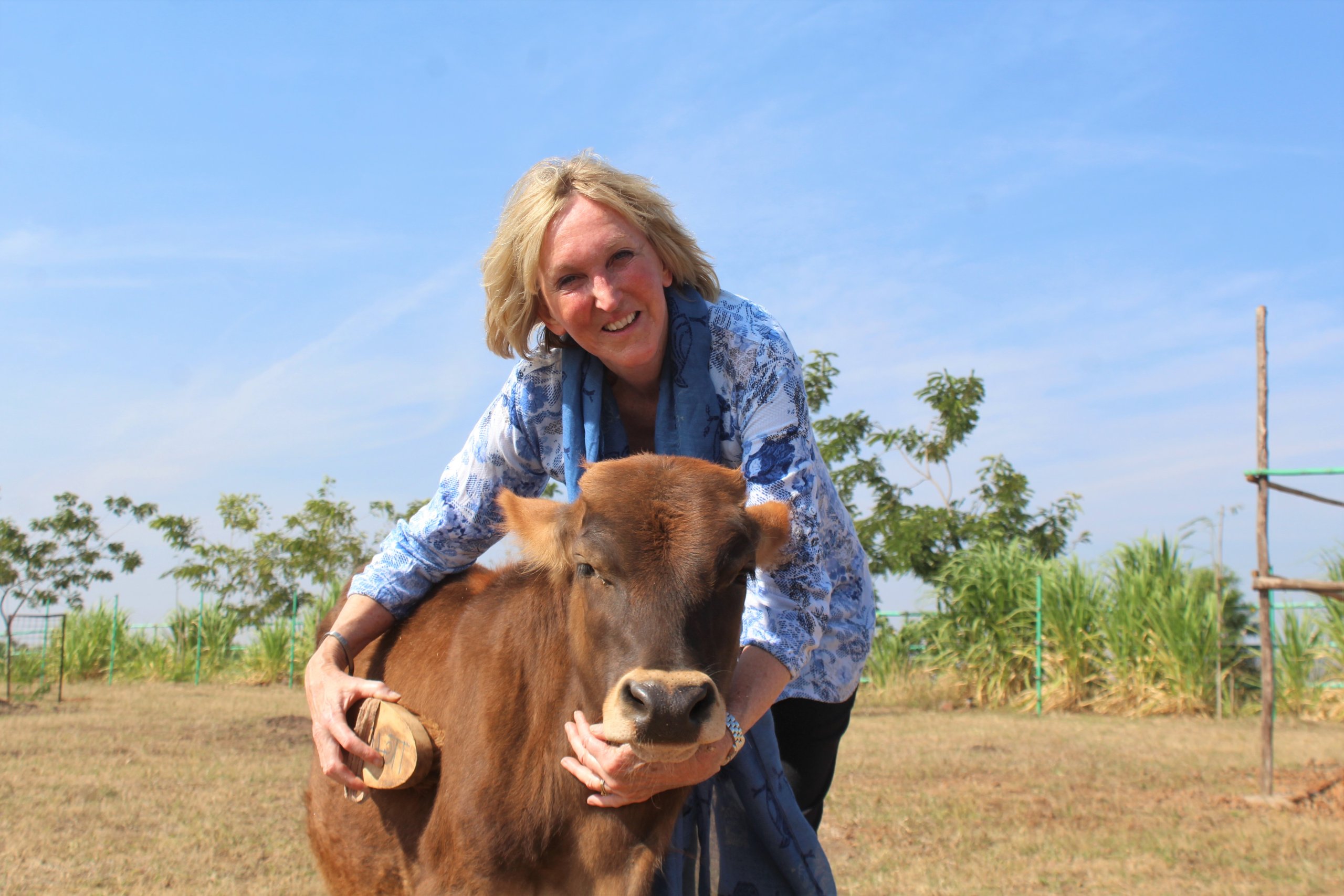 Animal Rights and Campaign News | PETA