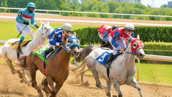 How Many Horses Have Died at Churchill Downs? | PETA