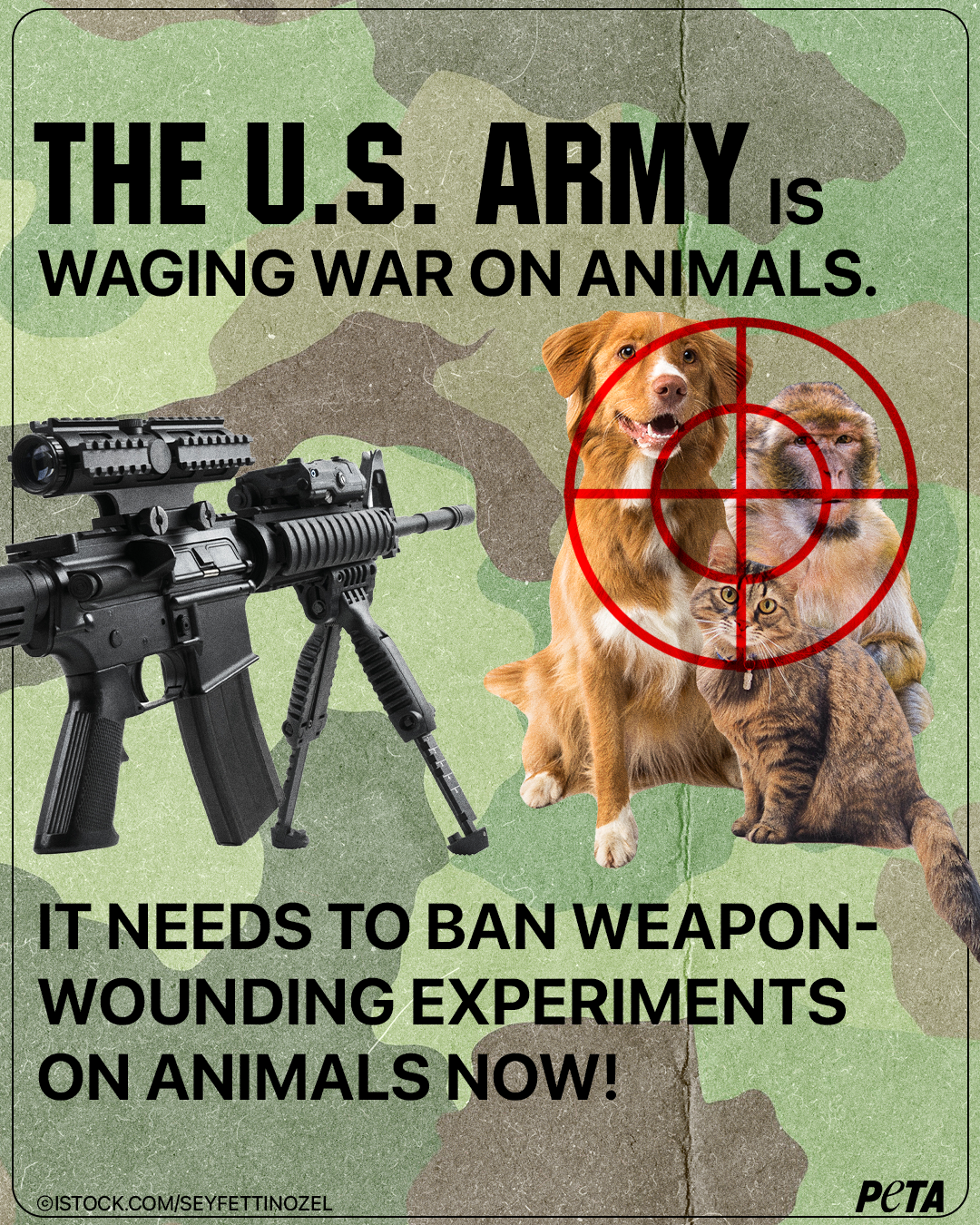 Animals With Weapons