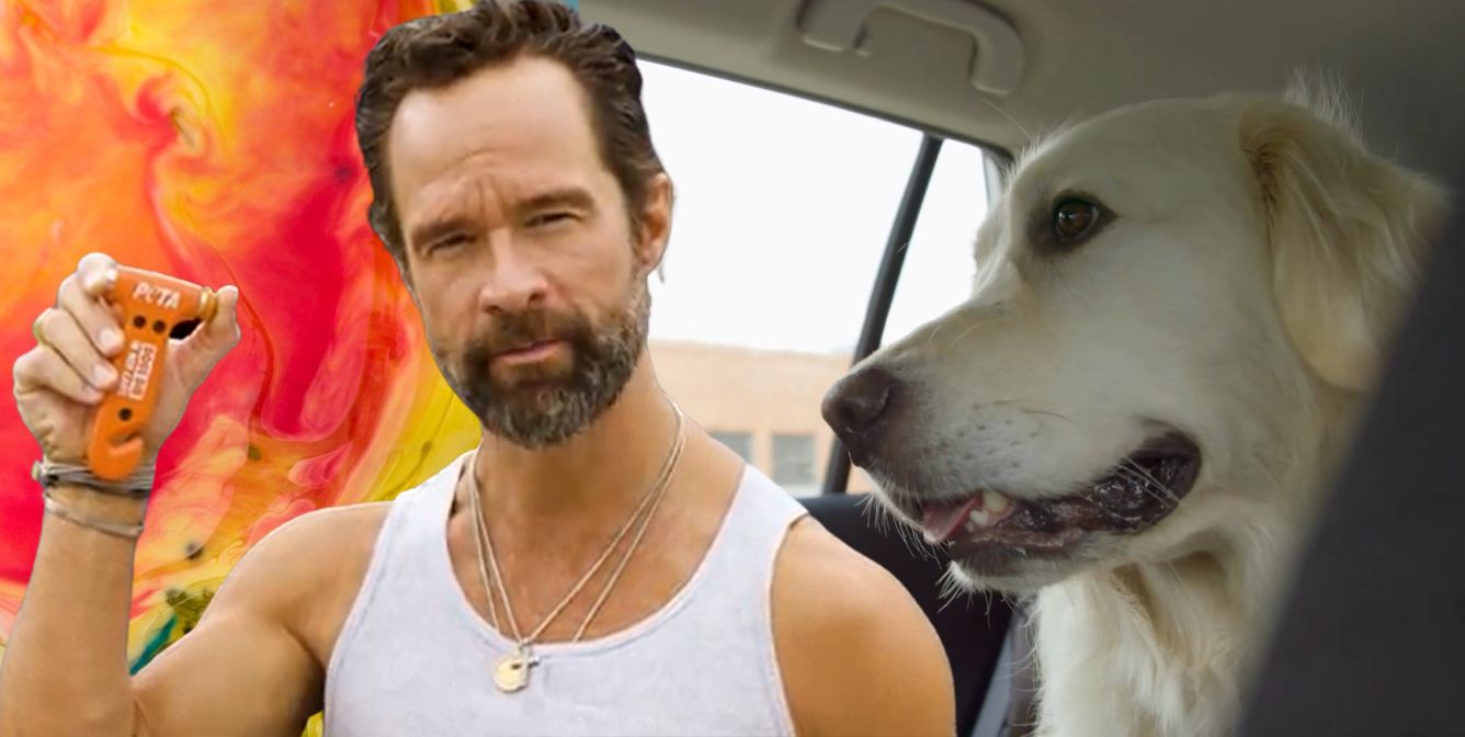 Chris Diamantopoulos Saves Dogs From Hot Cars | PETA