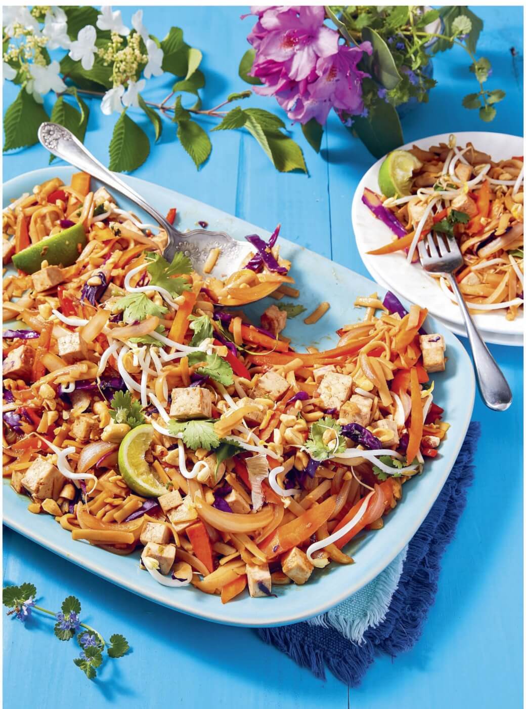 Vibrantly Vegan! | PETA