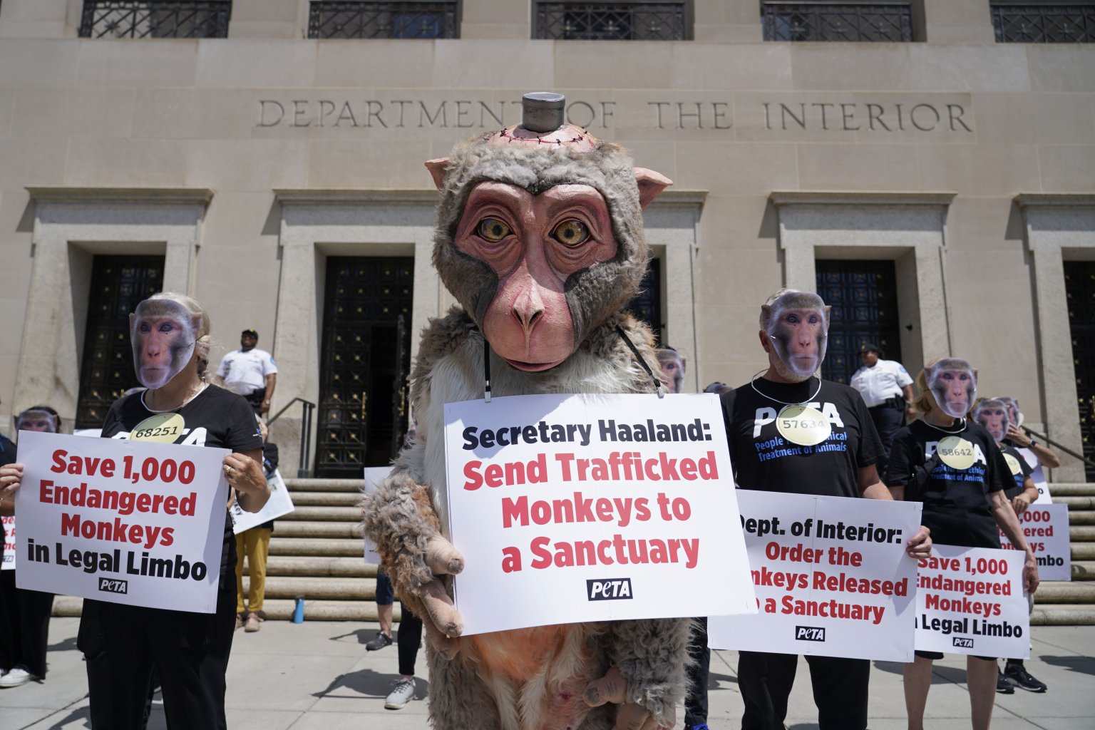 Updates: Campaign to Shut Down the Violent Monkey-Importation Industry ...