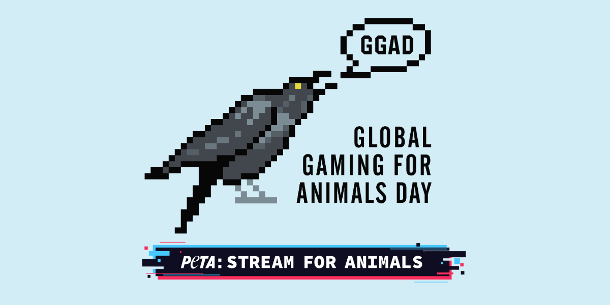 ‘Global Gaming for Animals’ Day: Stream These Games | PETA