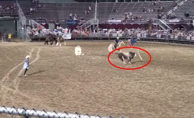 WATCH: These Scary PETA Videos Will Give Meat-Eaters Nightmares