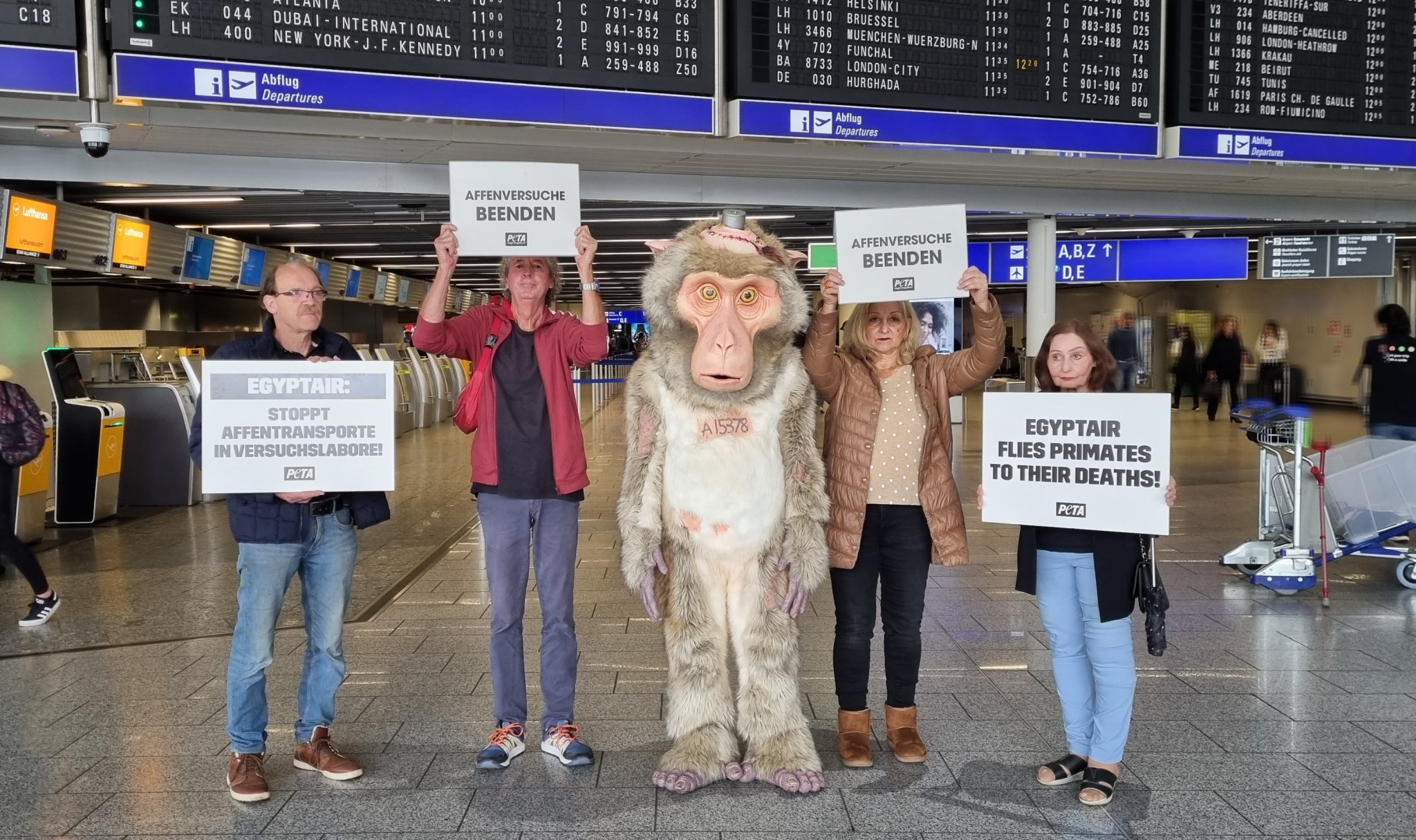 Campaign Updates: EGYPTAIR Sends Monkeys to Die in Experiments | PETA