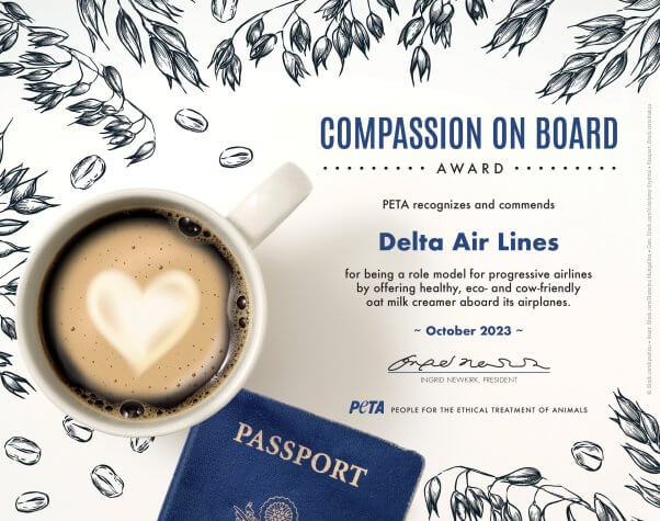 Delta Wins National Award for Adding Oat Milk Creamer to In-Flight ...