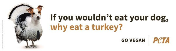 Rejected! PETA’s Pro-Vegan Ads Deemed Too Controversial for Tulsa ...