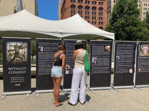 Invasive, Deadly Tests at Wake Forest U. Prompt PETA Exhibit on Dark ...