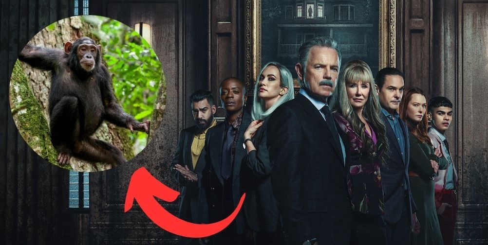 House Of Usher Brochure at Anthony Blea blog