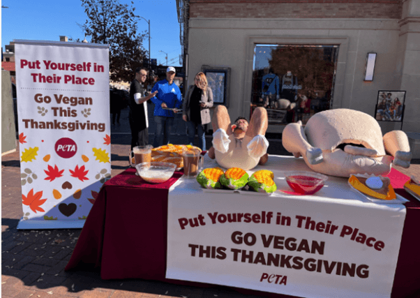 PETA ‘ThanksVegan’ Sweeps Nation With ‘Turkey Showgirls,’ Celeb Cameos ...