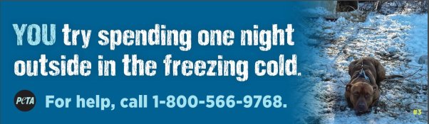 CODE BLUE! PETA Issues Survival Tips for Animals During Freezing ...