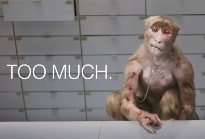 How Much For The Prescription? Too Much! 0:15 | PETA