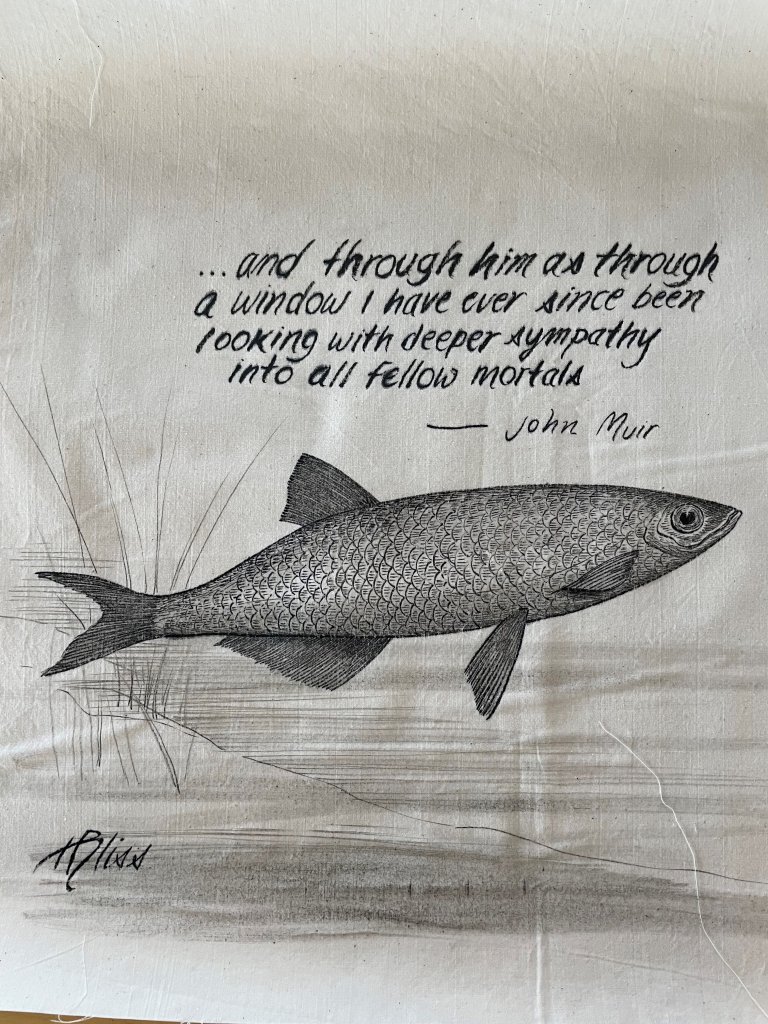 PETA Presents Fish Empathy Quilt in Eureka | PETA