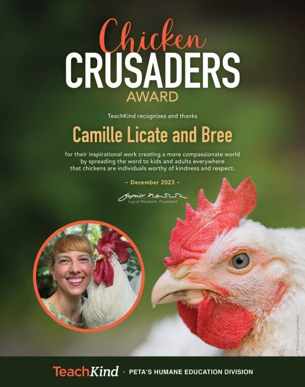 Ashtabula Author and Bree the Rescued Rooster Win First-Ever ‘Chicken ...