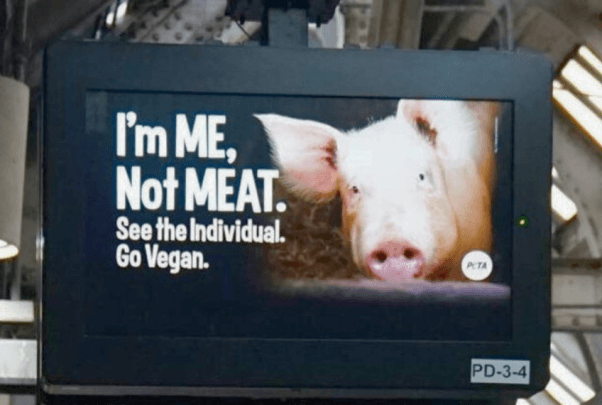 ‘All Aboard the Vegan Train!’: PETA’s ‘I’m ME, Not MEAT’ Message Pulls ...