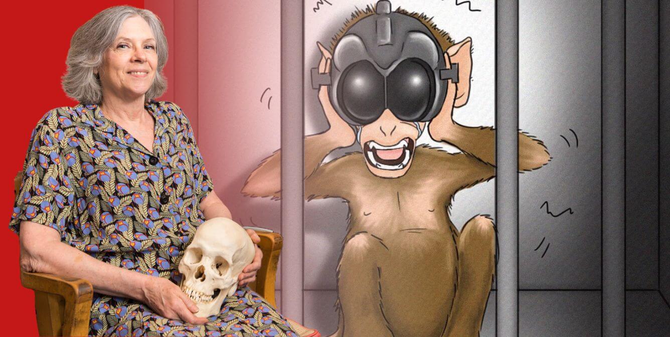 Watch Now: Harvard Experimenter Blames Cartoons for Empathy Toward ...