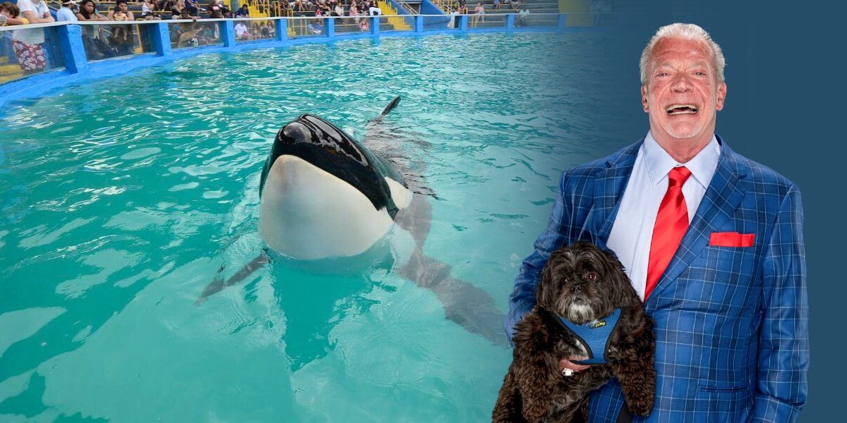 Game Plan: Jim Irsay Steps Up for Animals | PETA