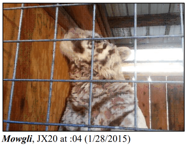 Legal Case Summary: 'PETA v. Tri-State Zoo' | PETA Foundation
