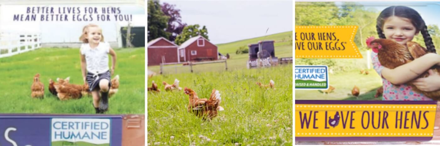 Legal Case Summaries: Egg Industry Humane Washing | PETA Foundation