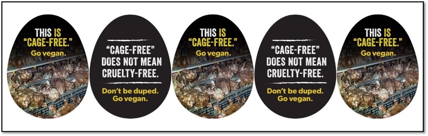 Get Your FREE Egg Carton Truth Labels | PETA