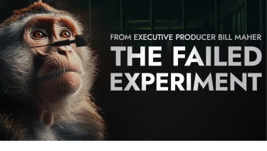 End Experiments on Animals With These Three Simple Actions | PETA