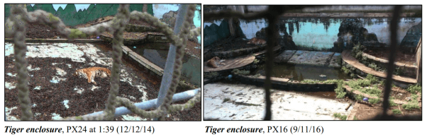 Legal Case Summary: 'PETA v. Tri-State Zoo' | PETA Foundation