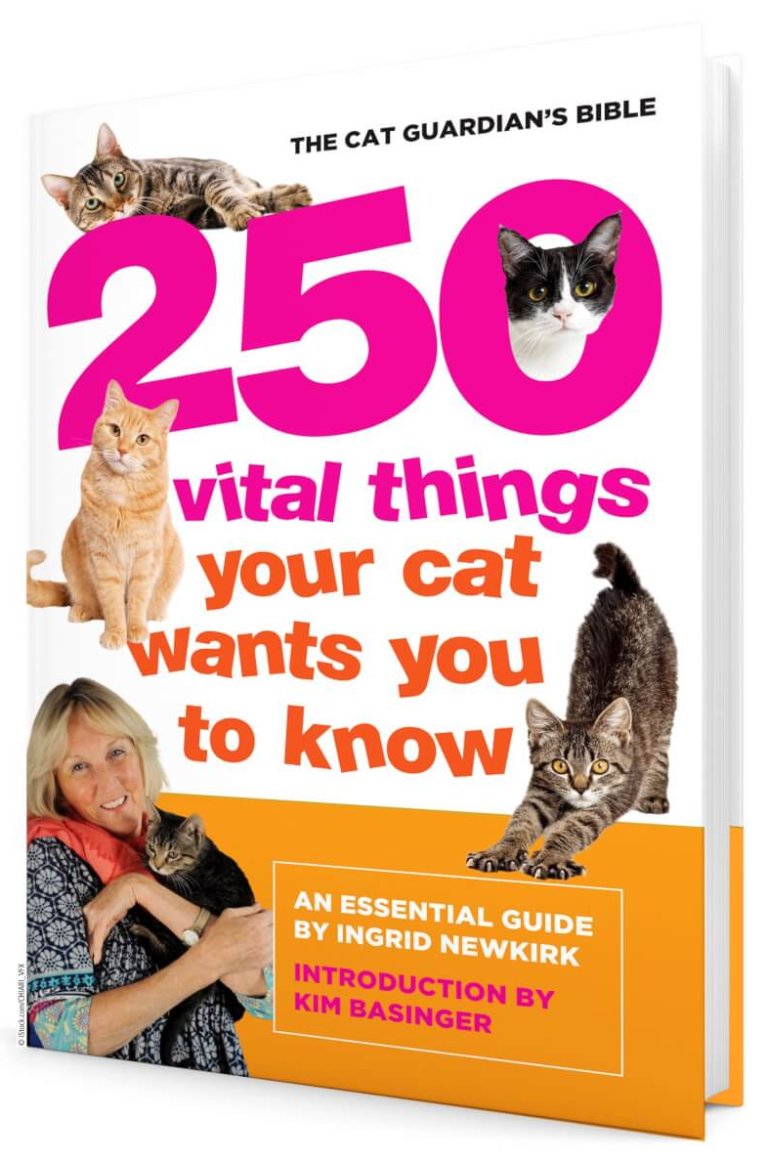 PETA Executive Vice President Tracy Reiman Tackles Your Tough Questions ...