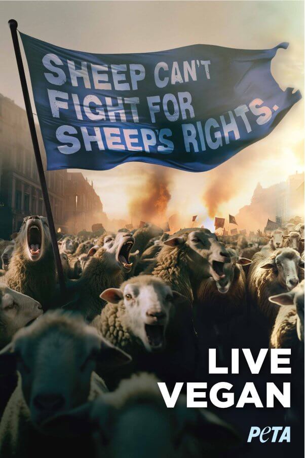 ‘Sheep Can’t Fight for Sheep’s Rights’: PETA’s Incendiary New Campaign ...