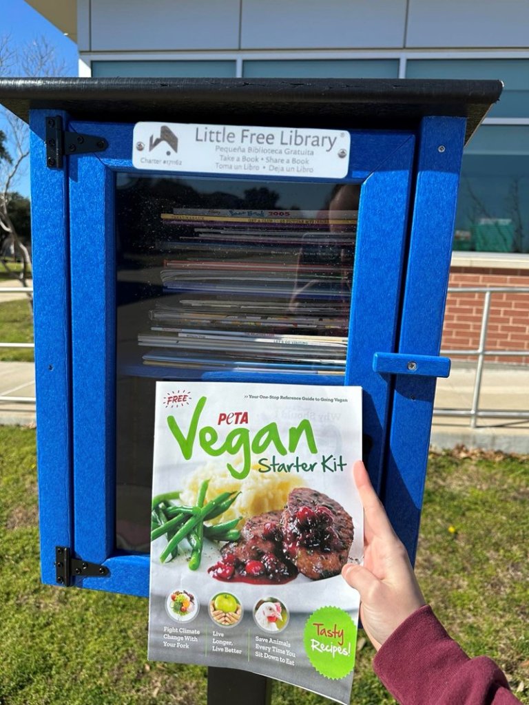 20 Easy Ways to Help Animals Every Day | PETA