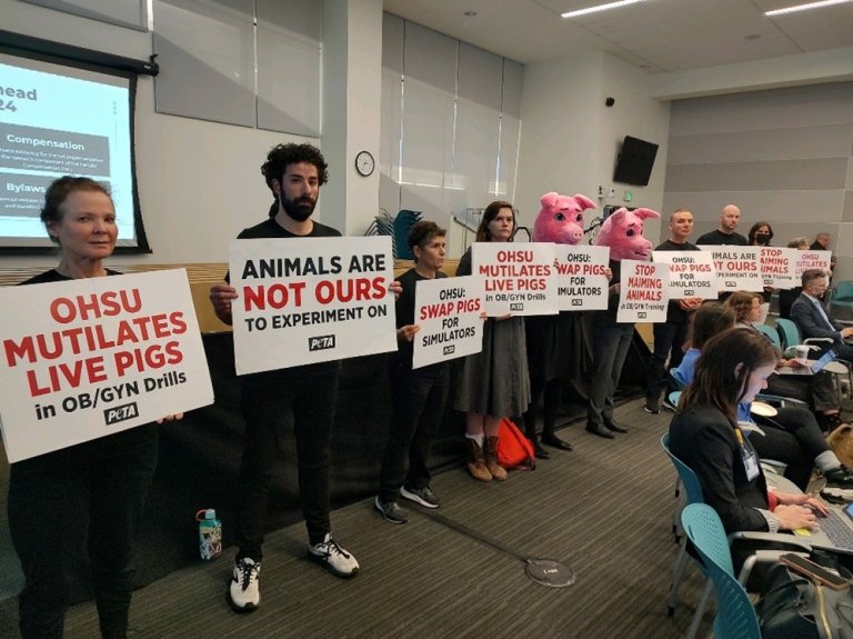 OB/GYN Patients Demand End to OHSU’s Pig Body Count in New PETA Video ...