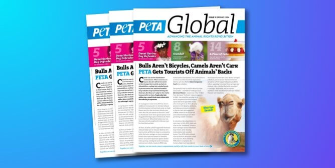 Issue 2: Spring 2024 | PETA Global Magazine